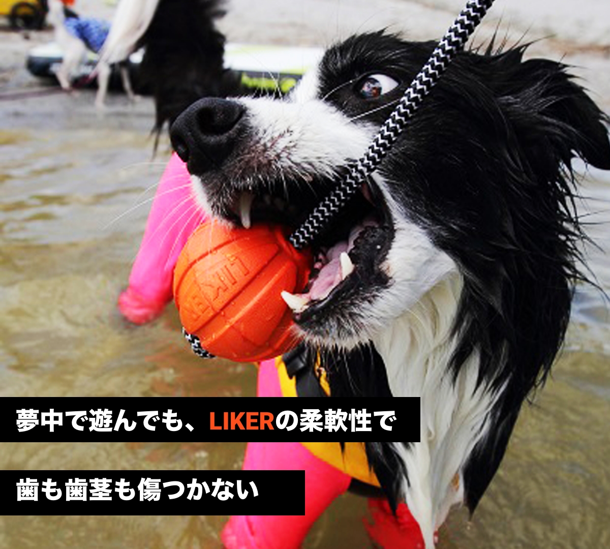 LIKER - by.PULLER公式サイト