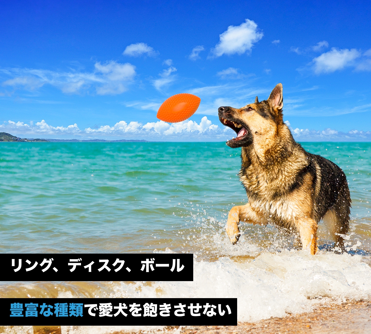 Pitch Dog - by.PULLER公式サイト